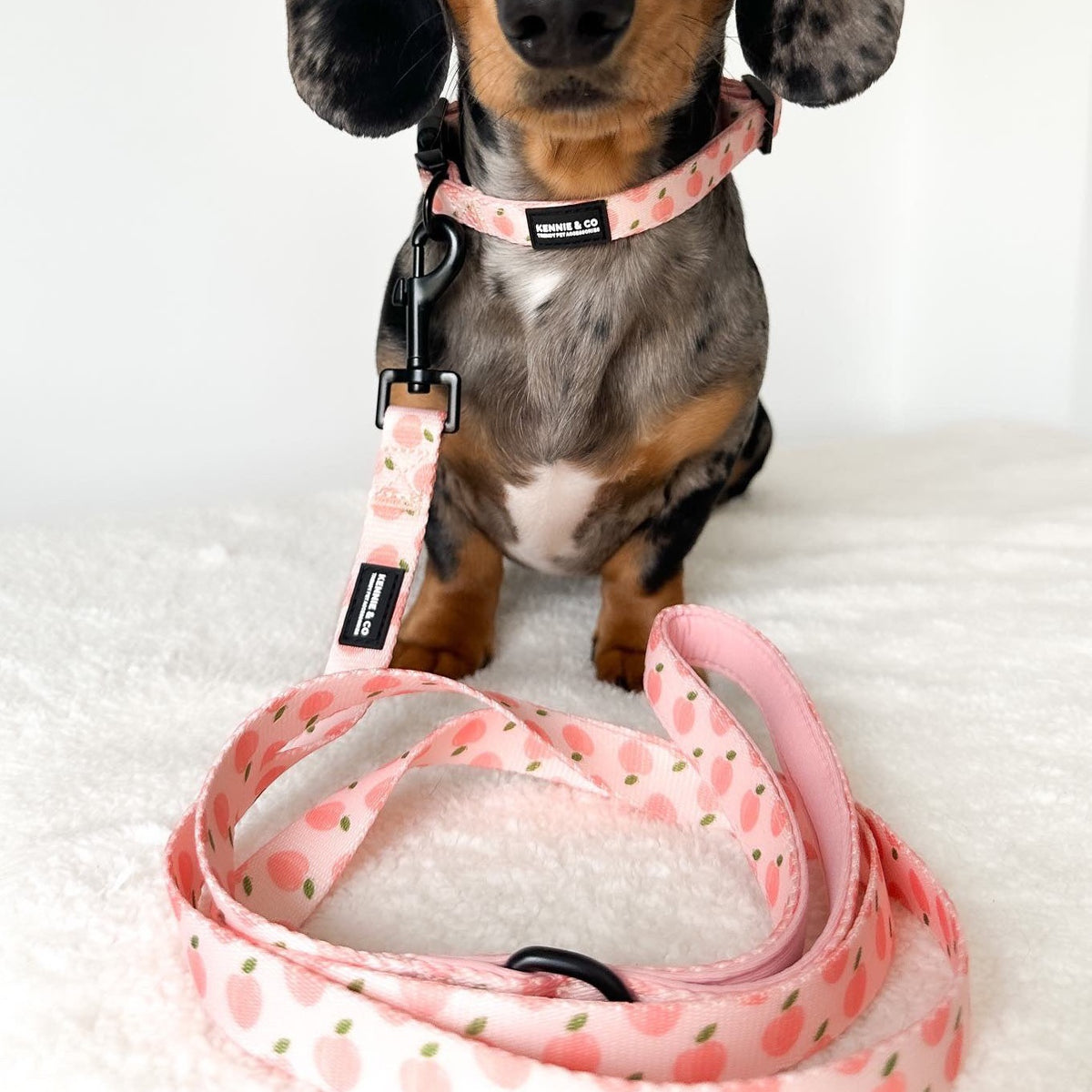 The "Peachy" Dog Lead | Peach Pattern Pink – kennieandco